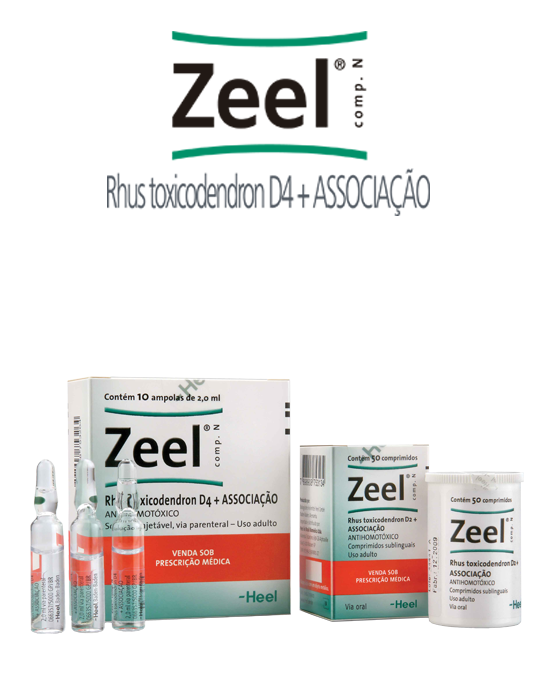 Sem categoria Archives - HeelHeel